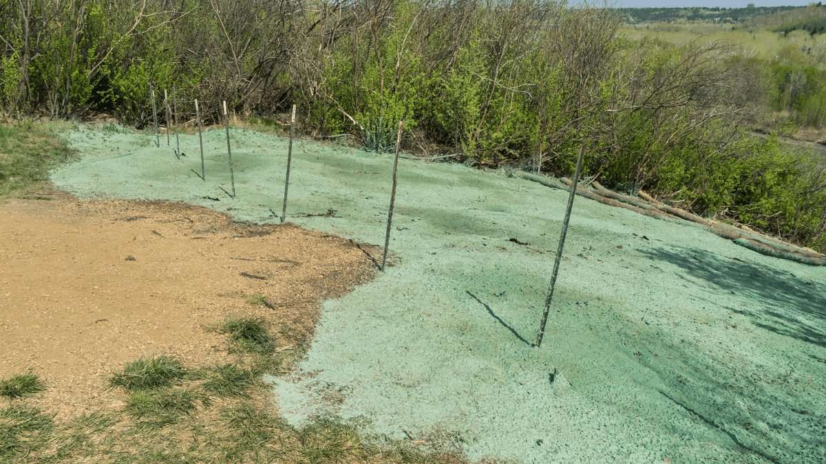 Hydroseeding Services in Denver, CO | Residential & Commercial Solutions